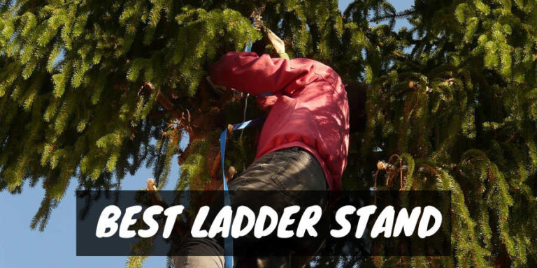 Best Ladder Stand (2022) | Snockeys